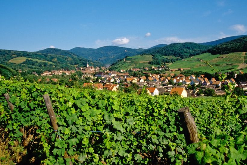 alsace landscape